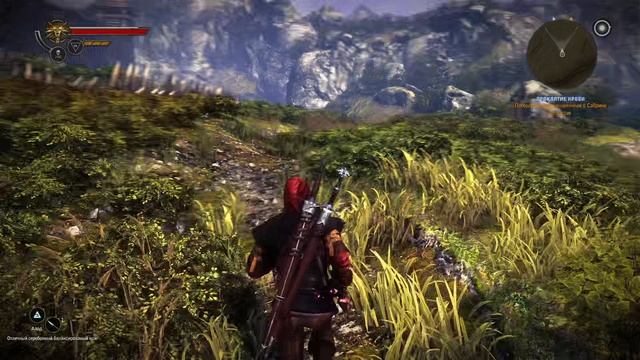 Ведьмак 2: Убийцы королей - 20 (прохождение без комментариев)