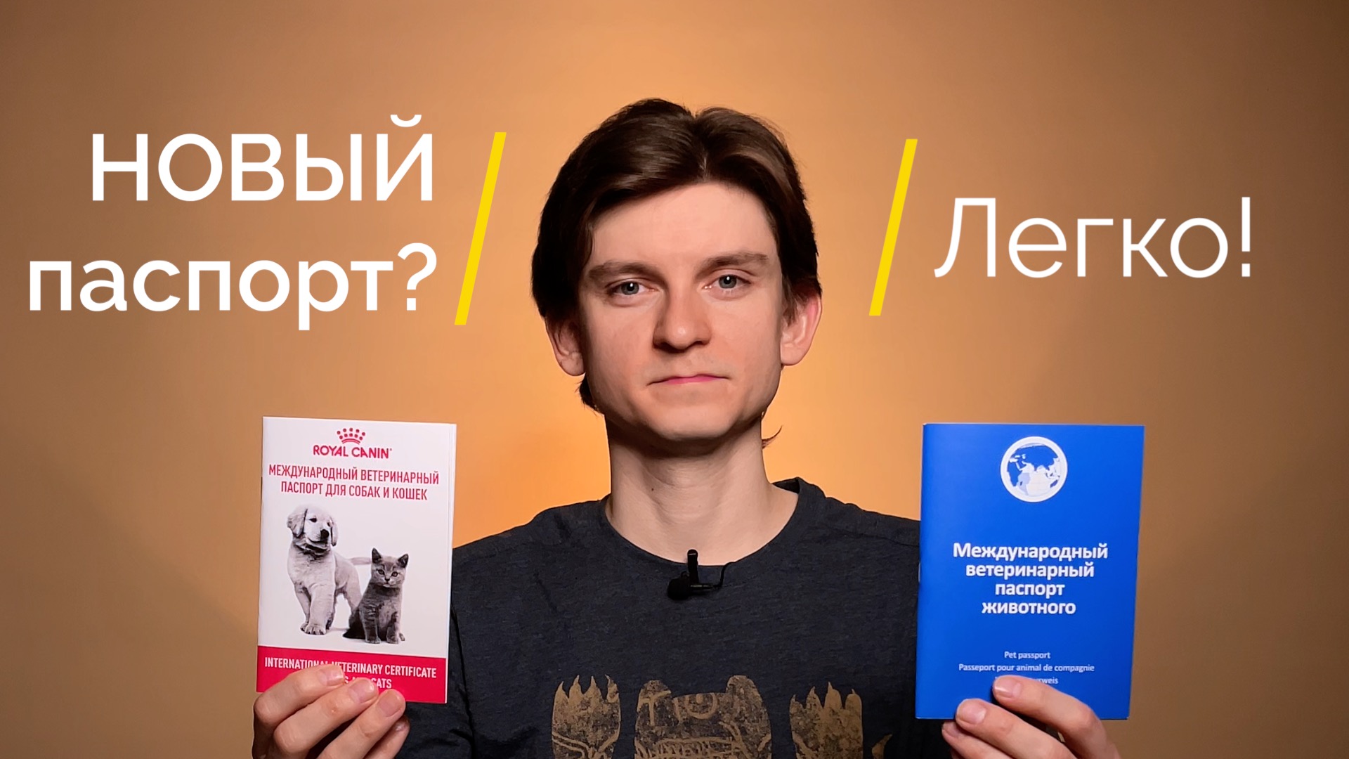 Как поменять паспорт собаке или кошке на новый