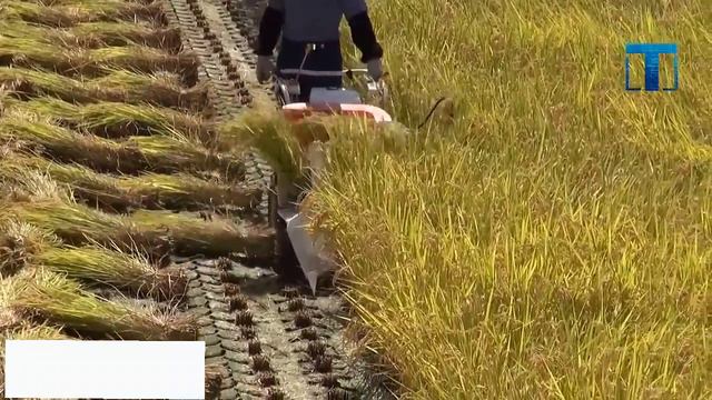 Современная сельхозтехника нового уровня