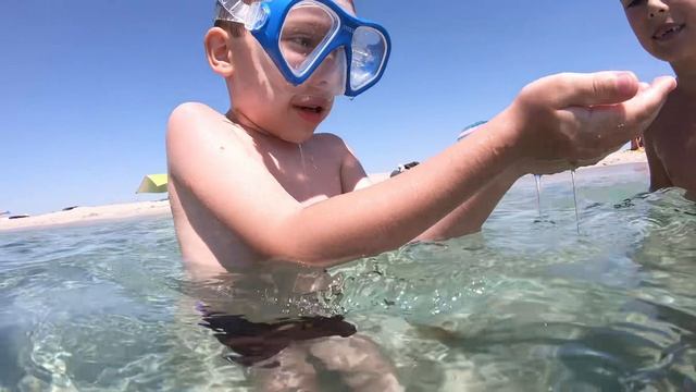 Западный Крым. Коса Беляус.