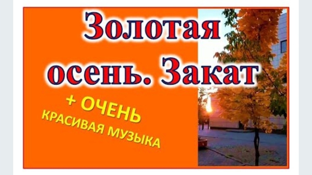 ЗОЛОТАЯ ОСЕНЬ. ЗАКАТ. Александра Миркушова