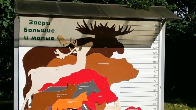 Дом лани Зеленоград