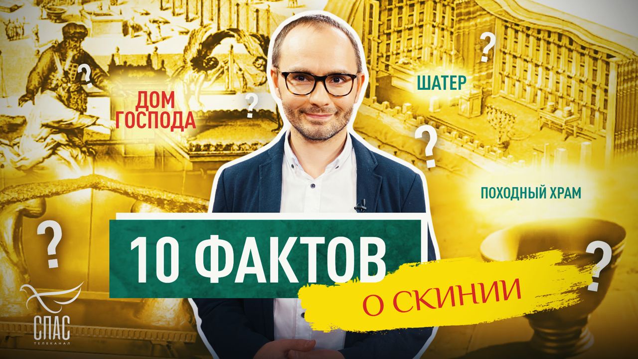 10 ФАКТОВ О СКИНИИ