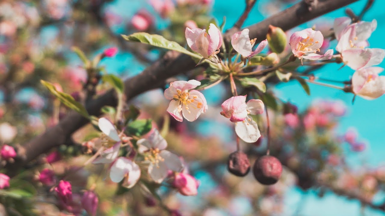 Музыка для медитации и избавления от стресса