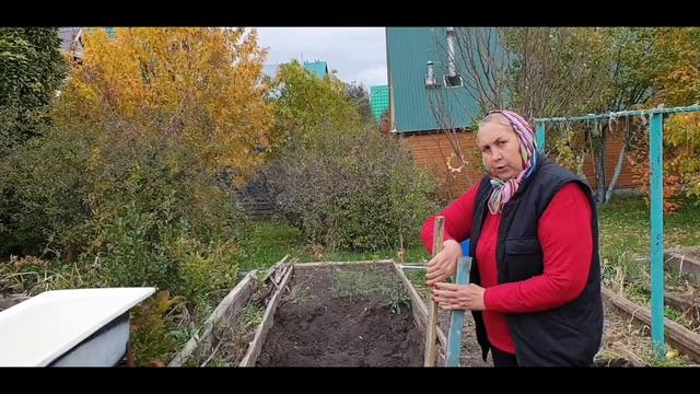 Утилизация ботвы после уборки урожая.