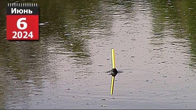 СИЖУ КОРМЛЮ ЛОВЛЮ ПЛОТВУ !!!