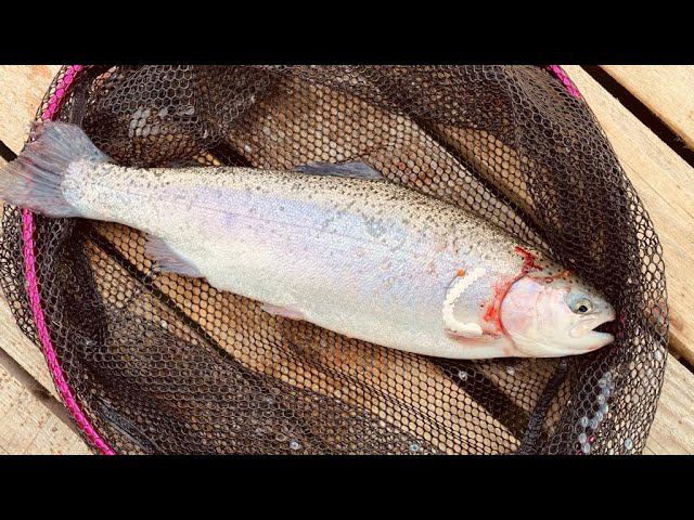 Рыбалка осенью на различные приманки на новом водоеме ловля форели на спиннинг.