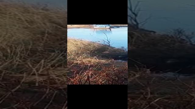 УРАЛ - ЭТО МОЩЬ!!! - URAL IS A POWER!!!    ?