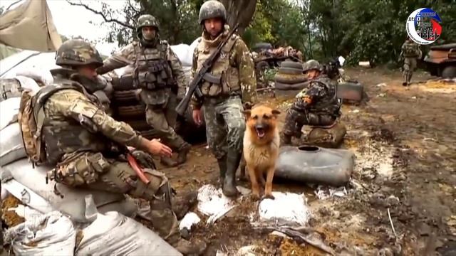 Сергей Светлов и Сергей Стукало - Родня. г.Москва и г. Санкт-Петербург