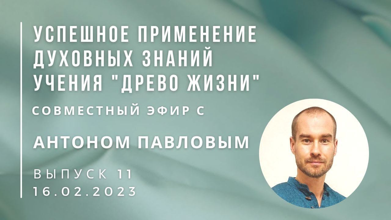 Успешное применение знаний учения "Древо Жизни" Выпуск 11. Эфир с Антоном ПАВЛОВЫМ. 16.02.2023 г.