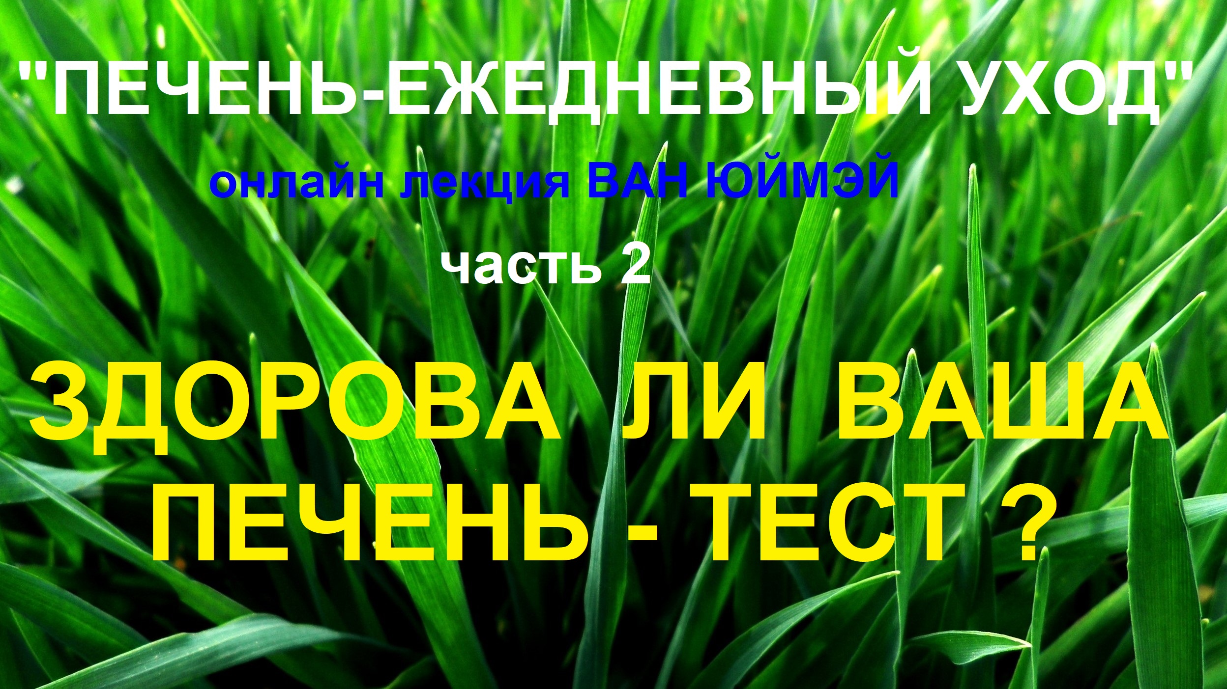 2 .Здорова ли ваша печень -тест?