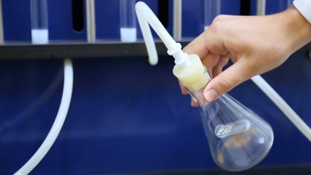 Молодежные лаборатории ЮФУ