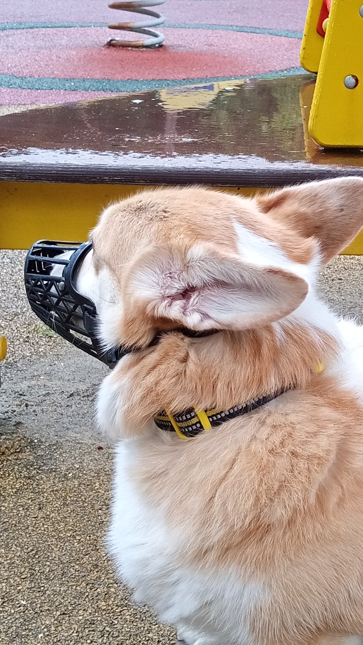 у нас дождь