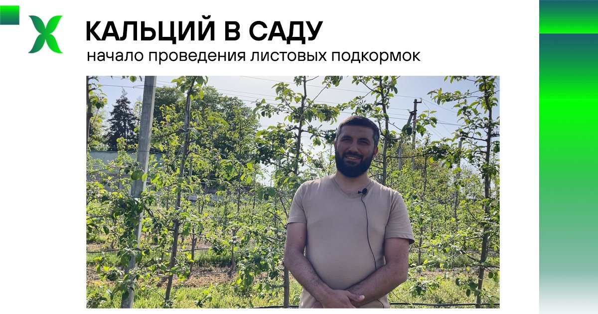 Кальций в саду / Вуксал для качества яблок