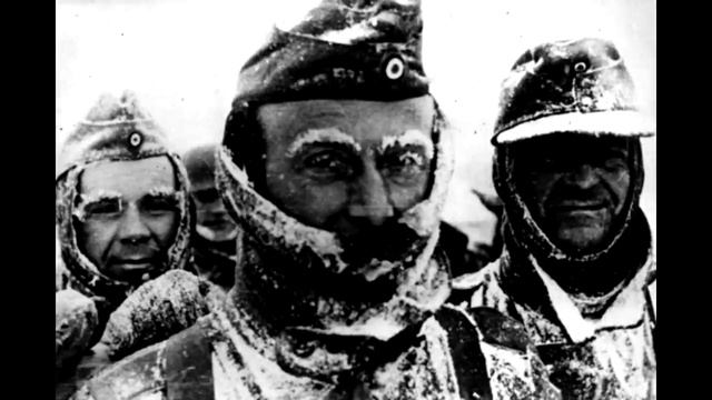 Из дневника Вилли Вольфзангера, ефрейтора Вермахта  ШТУРМ СТЕШИГРИ  ТРУСОСТЬ БЫЛА ХУЖЕ СМЕРТИ