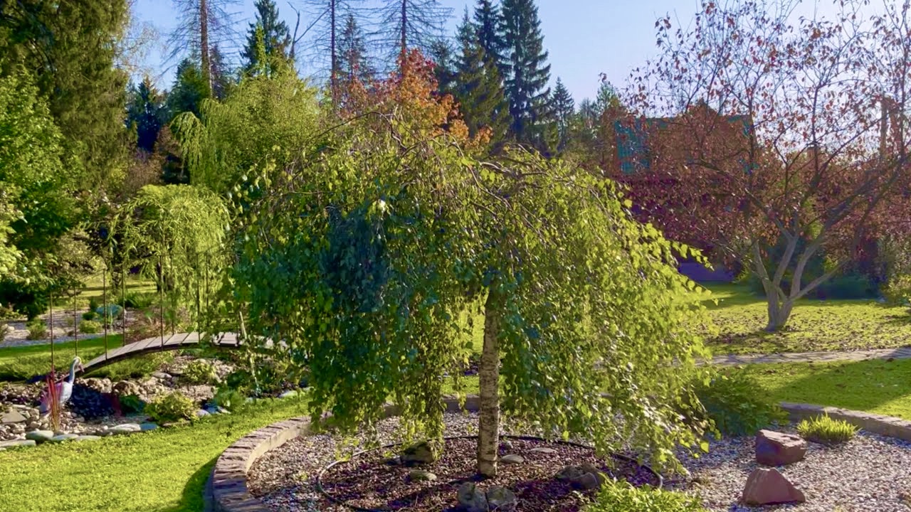 ДОДЕЛКИ / ПЕРЕДЕЛКИ. МОСТИК / РУЧЕЙ / ДОМИК У КОЛОДЦА. Дачный креатив.