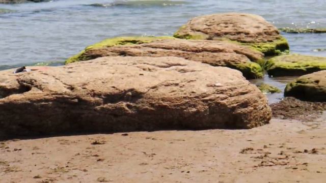 Пляжный отдых в Дагестане