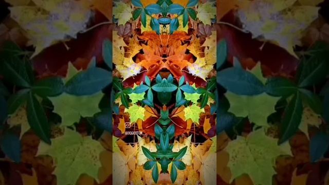 Цвет-Загадка