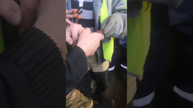 Палец опухает решил спилить кольцо .mp4