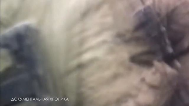 Наша история. Павличенко-Коновалов. Асиновский район.