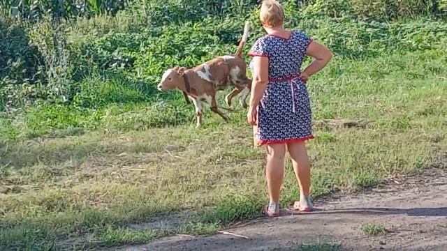 первая прогулка