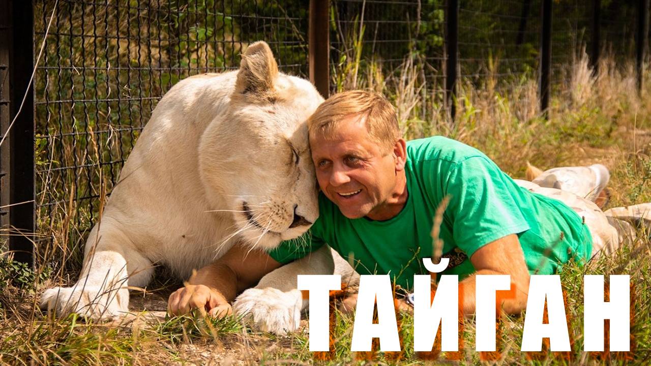 ТИГР МОГ ОТКУСИТЬ ПАЛЕЦ!! КОРМЛЕНИЕ ЛЬВА И ТИГРА ОЛЕГА ЗУБКОВА | КРЫМСКИЙ ПАРК ЛЬВОВ ТАЙГАН #тайган