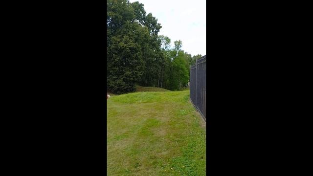 Необычный готический собор