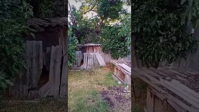 Провел новый водопровод и готовлю место для септика