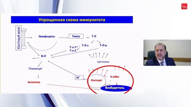 Профессор Онлайн.mp4