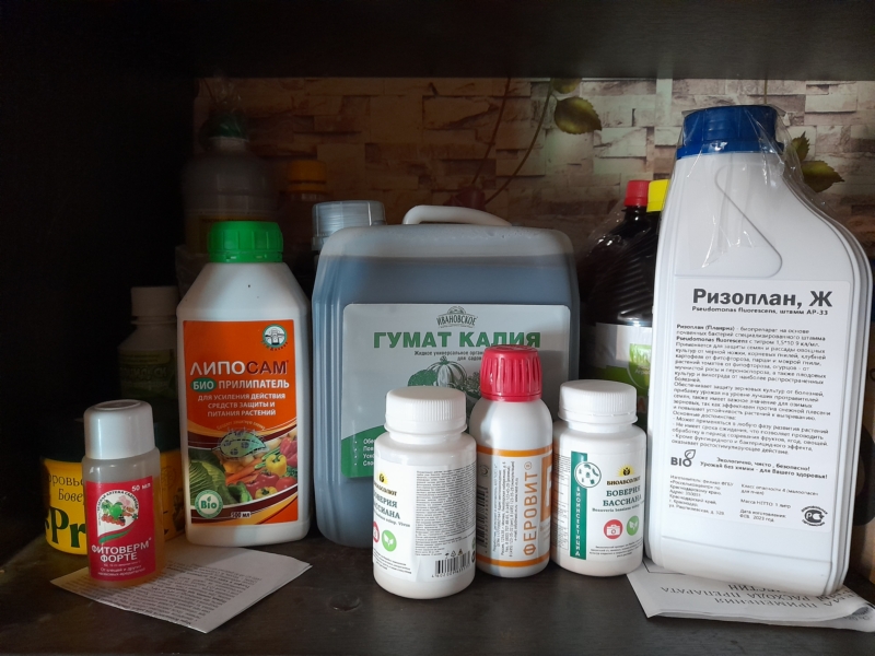 Биопрепараты