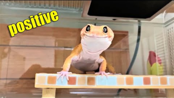 Очередная доза позитива для поднятия настроения #17 Отдохни и расслабься