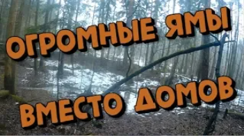 Выезд на Урочище! Поиск с металлоискателем XP ORX. Digger