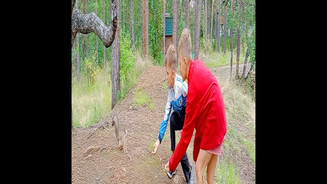 Белка Челябинск