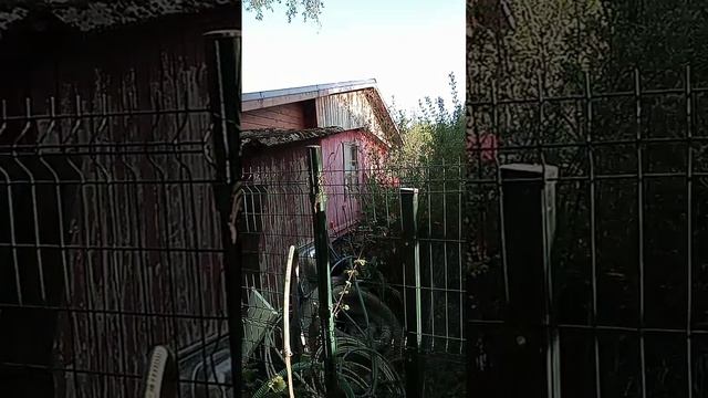 Два разных разреза в одном месте