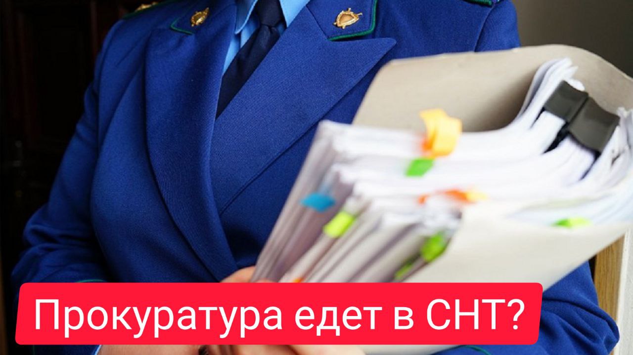 СНТ в котором нарушается всё? Севастополь, Фиолент...