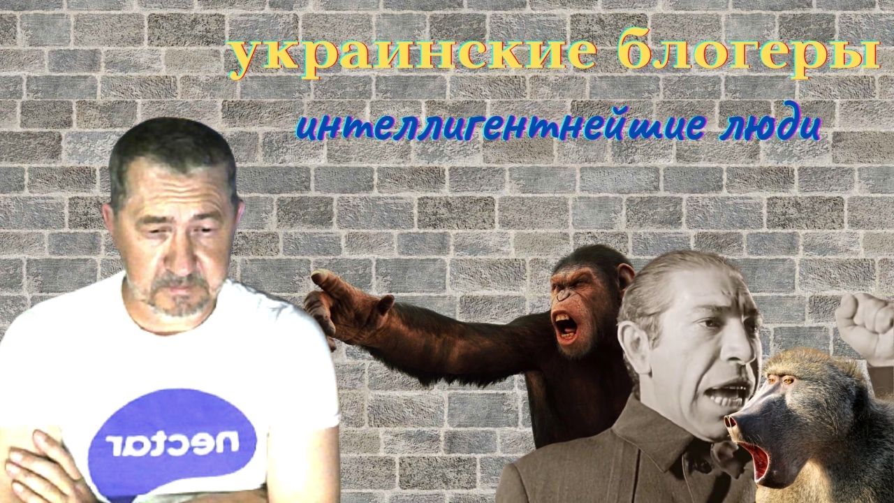 Интеллигентнейшие люди...