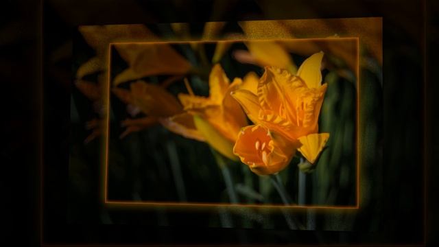 фото зарисовки 1