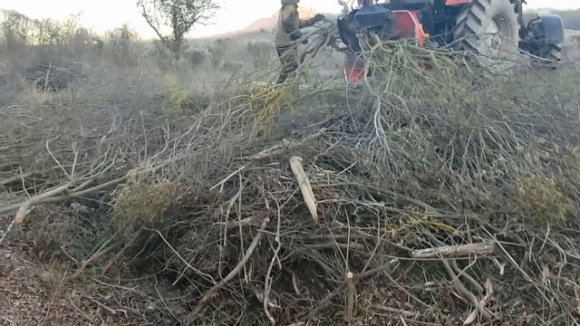 Farmi 260 / Рубильная машина / Дробилка с манипулятором / Дробление деревьев, корней и т. д.