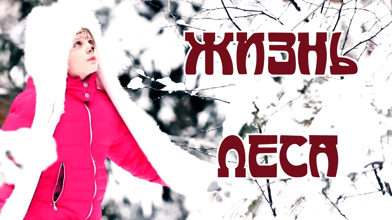 "Жизнь леса"   Фильм Максатиха Кэмп 2015 г.