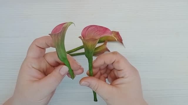 Каллы из холодного фарфора. Моя работа с натуры