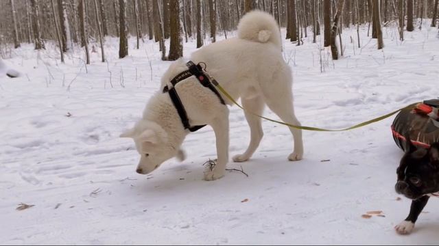 Фильмэйкинг 14+