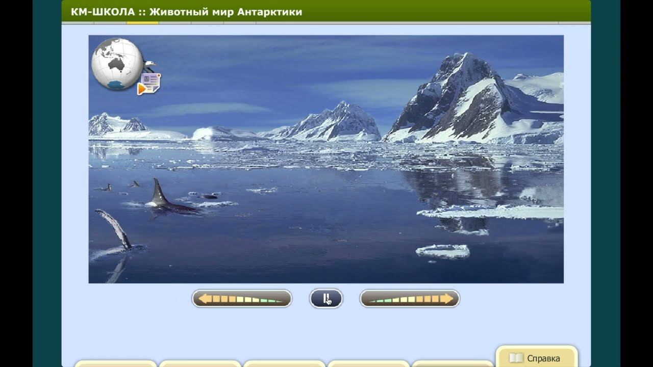 Животный мир Антарктики (География, 5 класс)