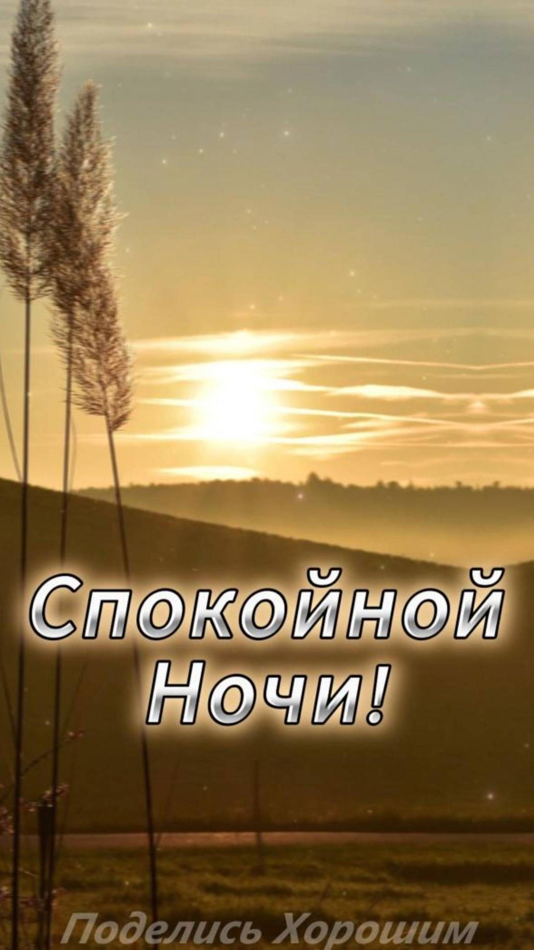 Спокойной Ночи!
