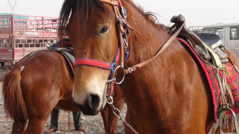 Уйгурский Сельхозрынок в Кашгаре