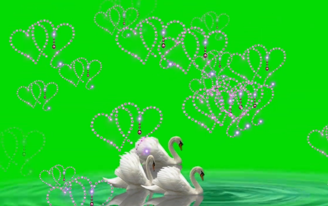 ?ГОЛУБИ И ЛЕБЕДИ. Футаж. Хромакей. Зелёный экран. Chroma Key. Green Screen..mp4