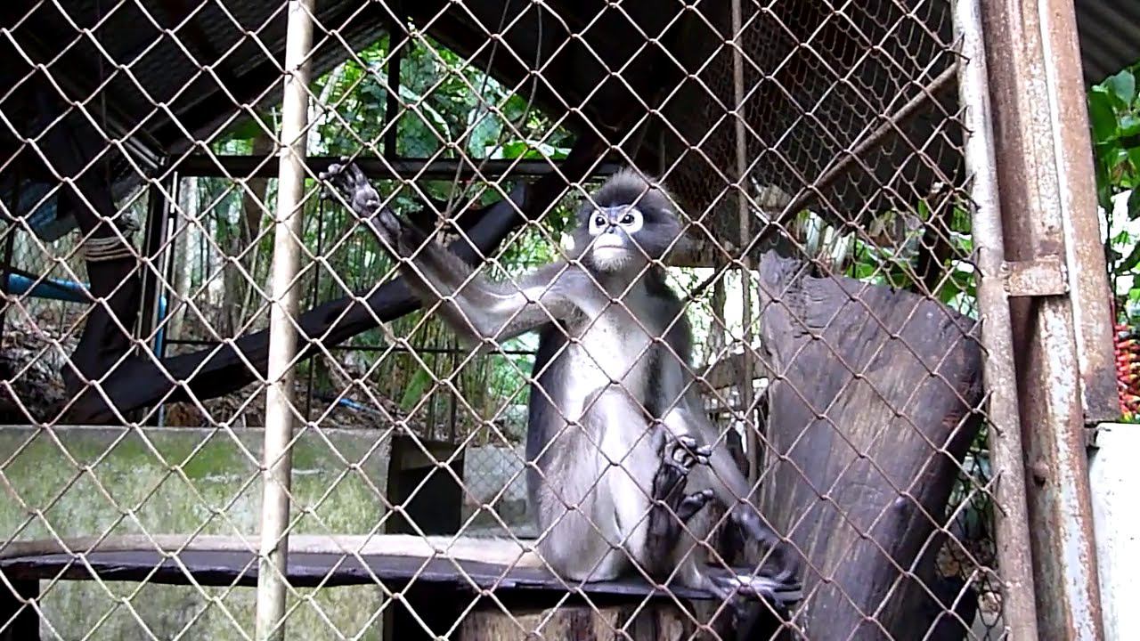 Давай наливай.......