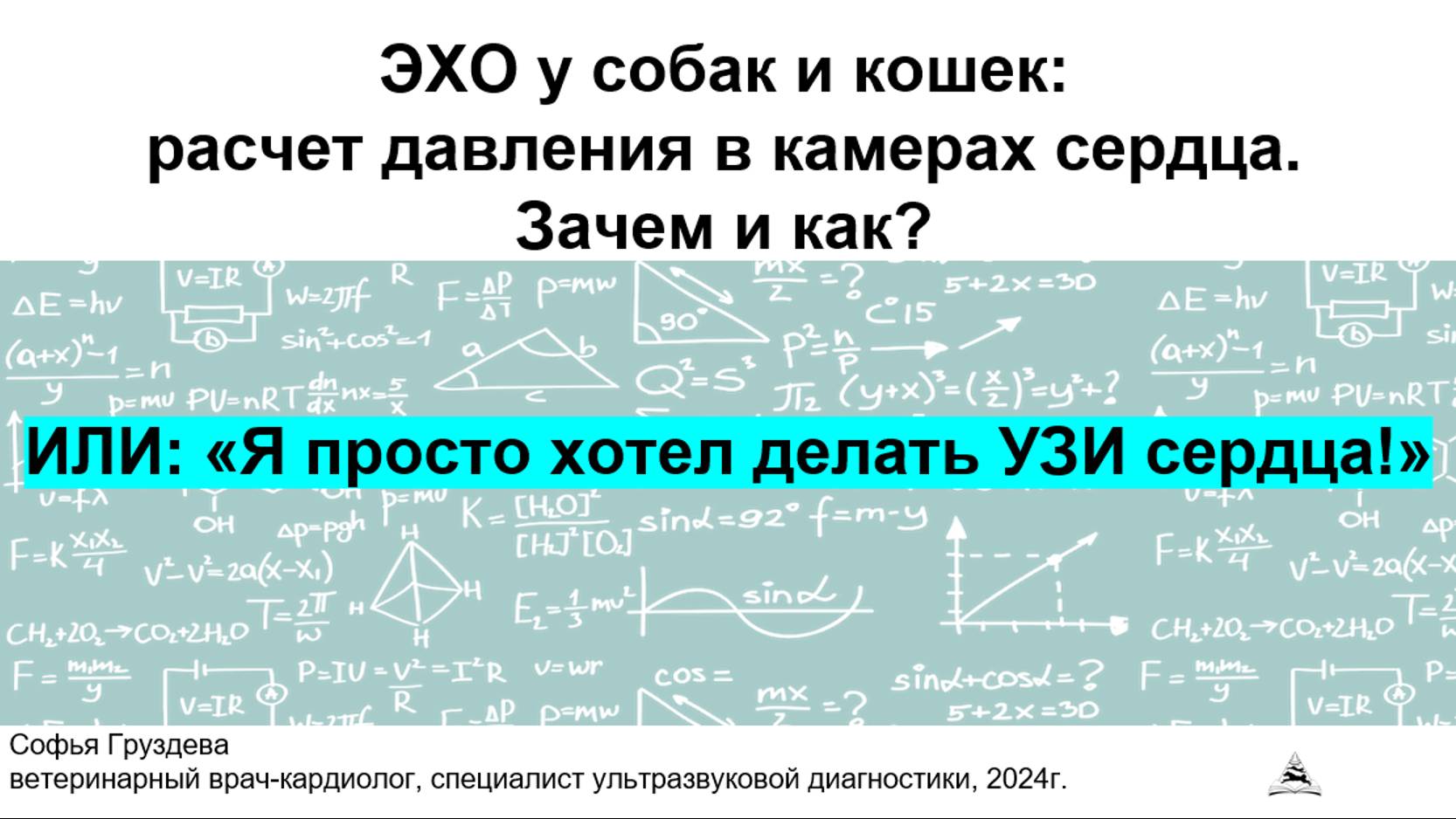 Vmax митральной регургитации 5 м/с это ок? | Уравнение Бернулли, градиент давления в ЭХО собак,кошек