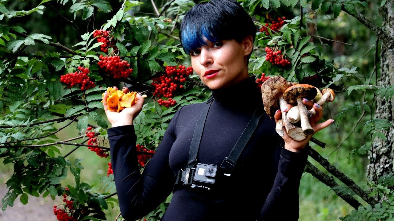 ТИХАЯ ОХОТА. ГДЕ ИСКАТЬ ГРИБЫ В АВГУСТЕ 2019. Подосиновики пошли! Беларусь