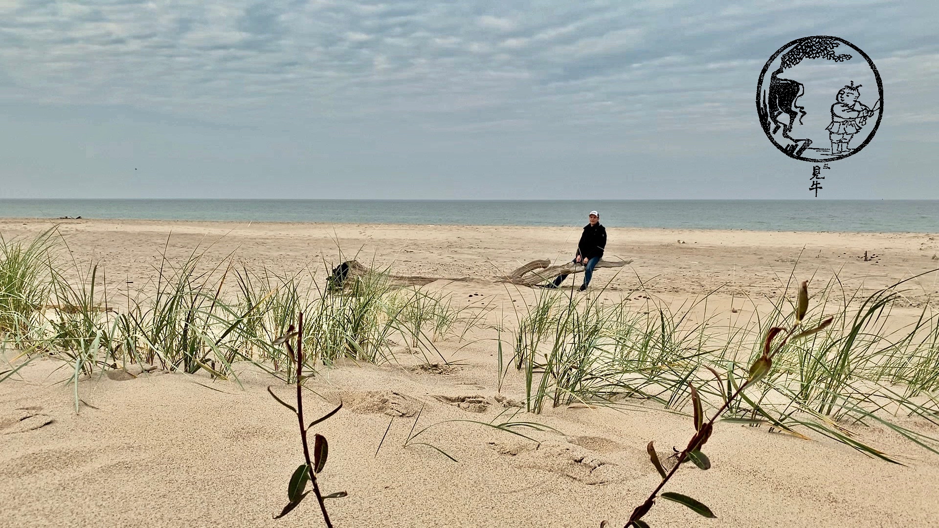 11 быков дзен. 3-й бык. Уроки медитации. Серия 3