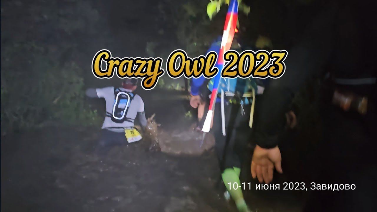Crazy Owl 2023